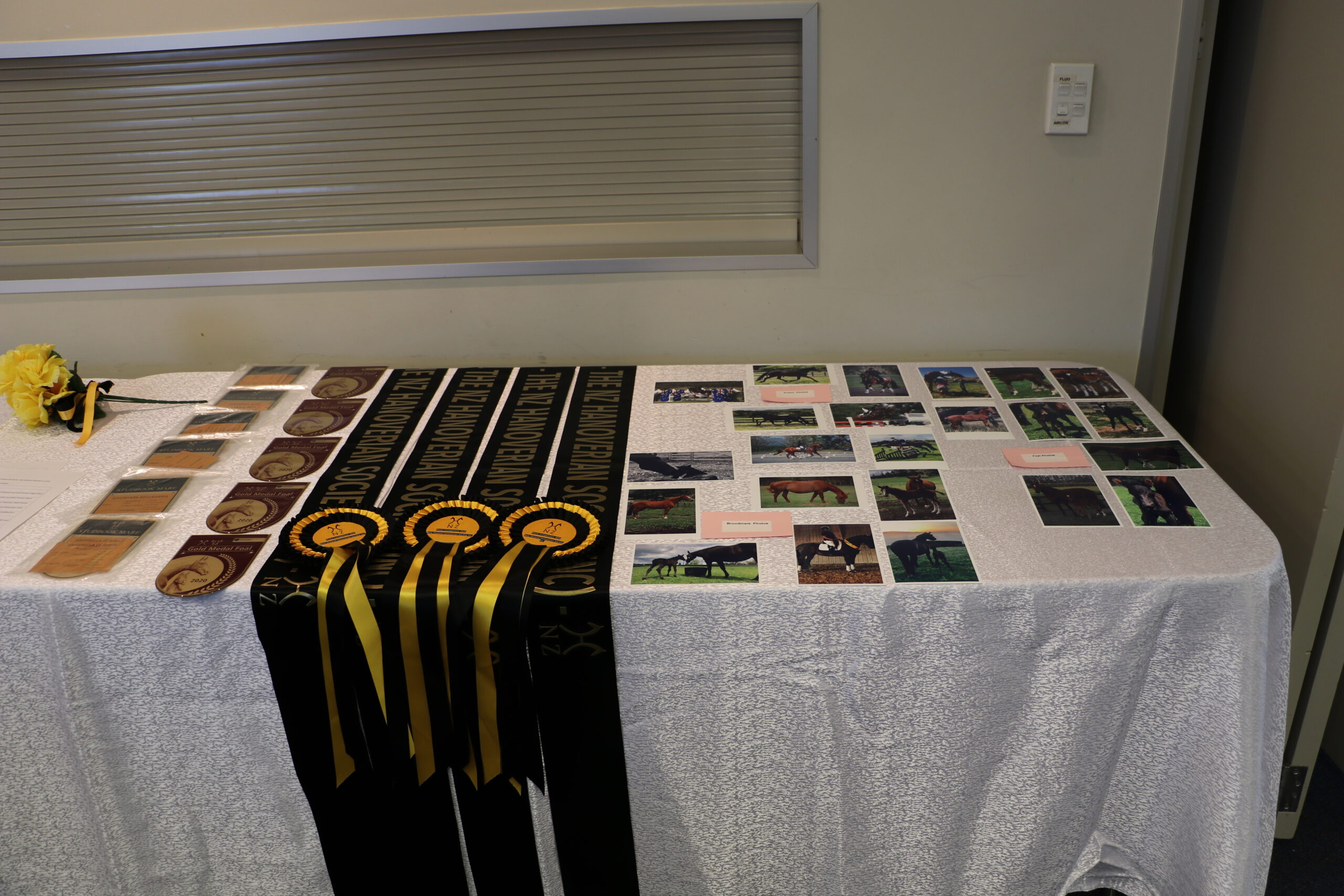 Annual Awards – Power Point Presentation of photos of the Winners – NZHS