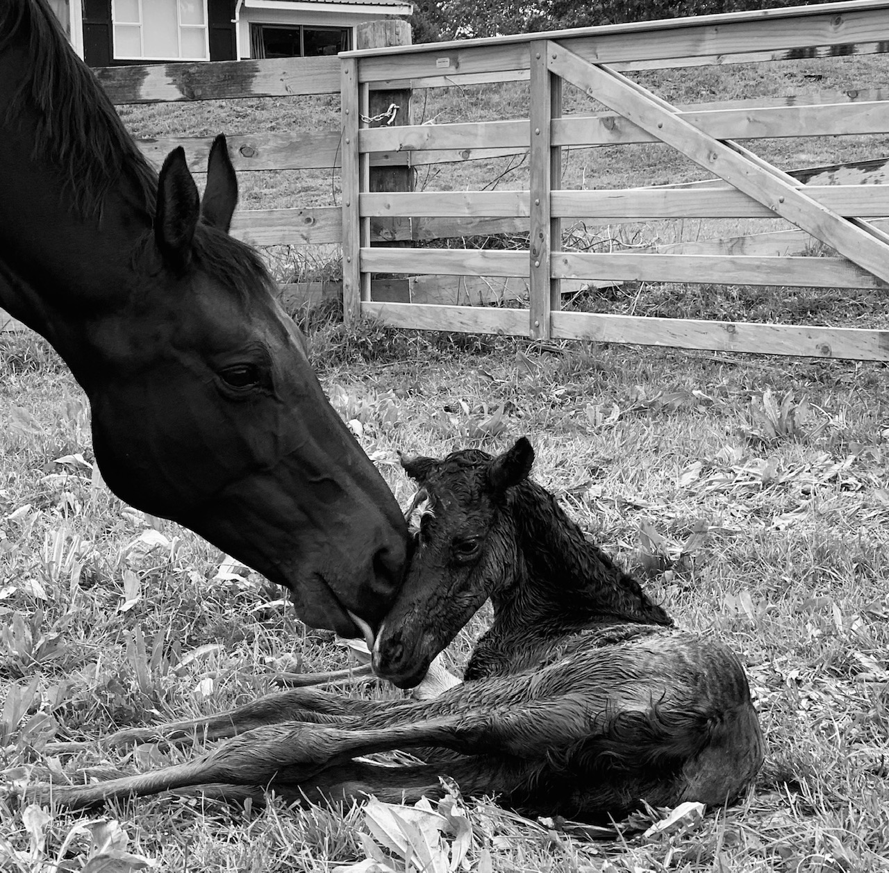 Photo Competition winners 2021 – NZHS