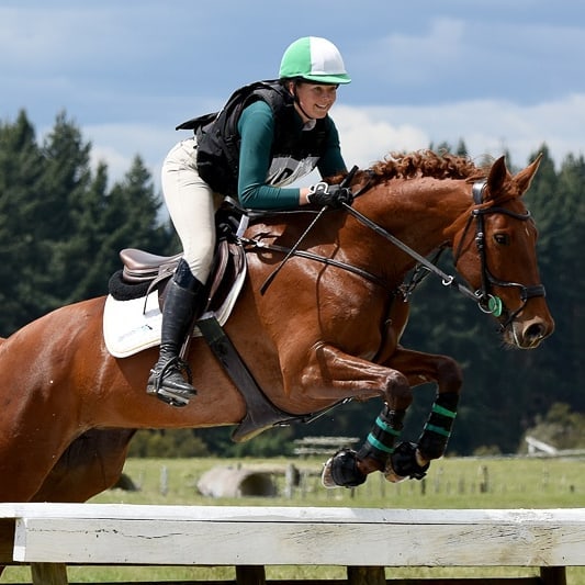 NZ Hanoverian and Rheinland Horses Overseas – NZHS